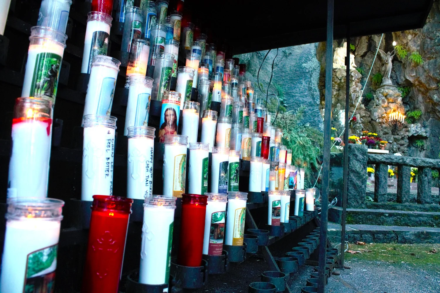 Visiting the Grotto in Portland — Pines and Vines