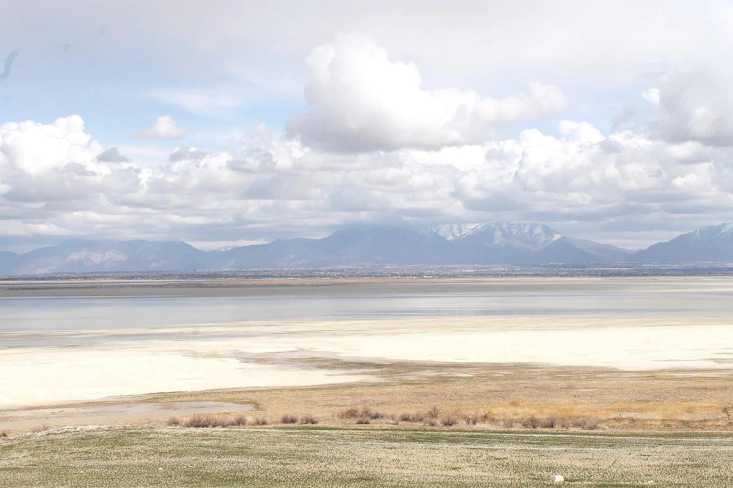 How to Visit Utah’s Antelope Island — Pines and Vines