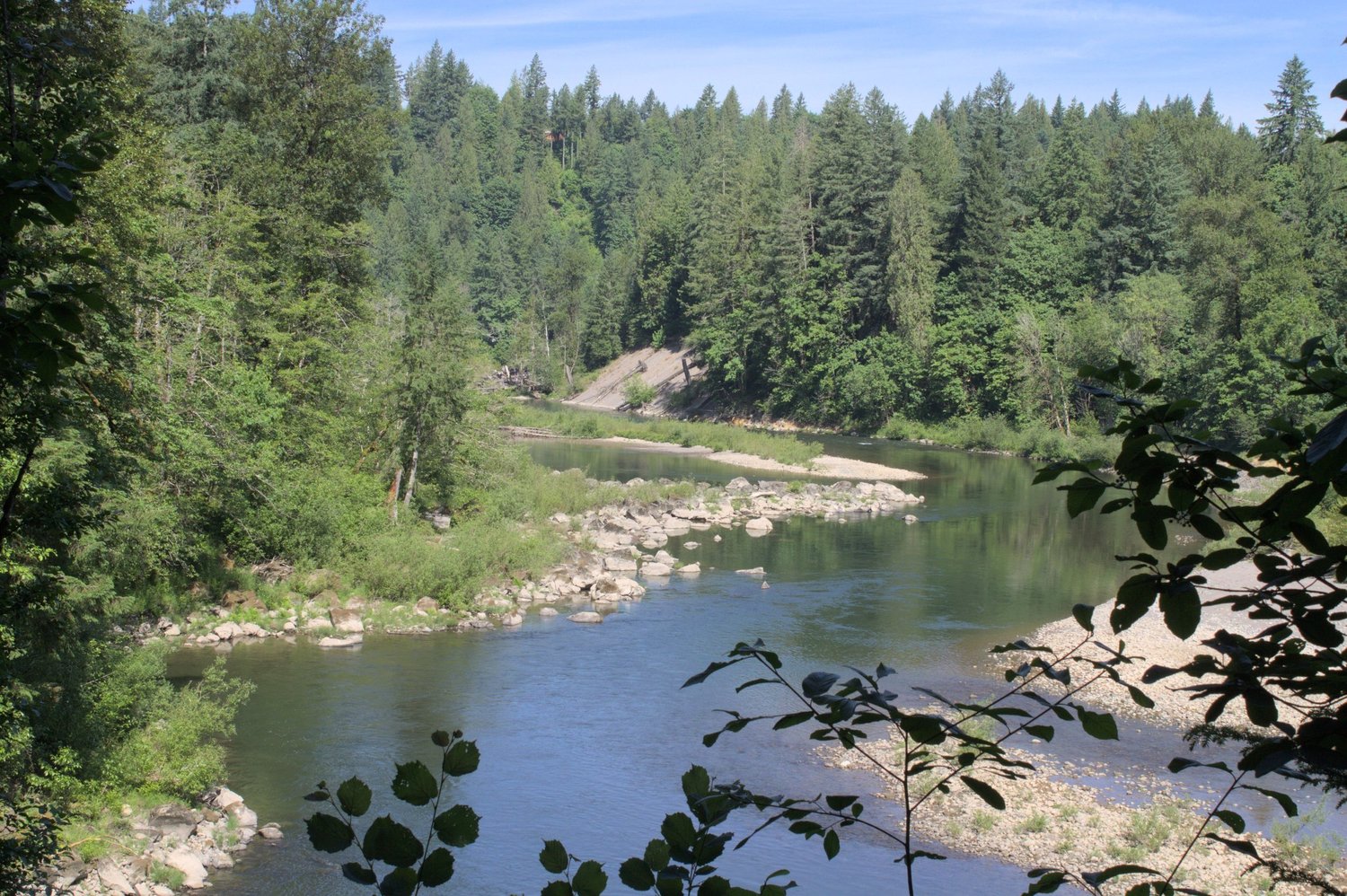 7 Fun Things to Do at Oxbow Regional Park — Pines and Vines