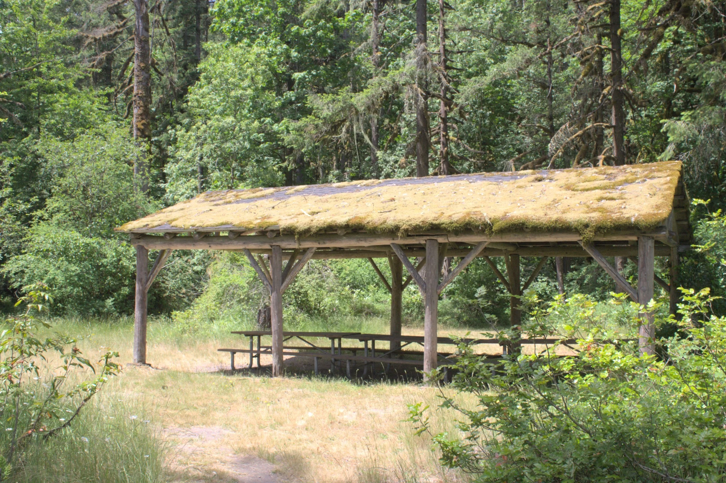 7 Fun Things to Do at Oxbow Regional Park — Pines and Vines