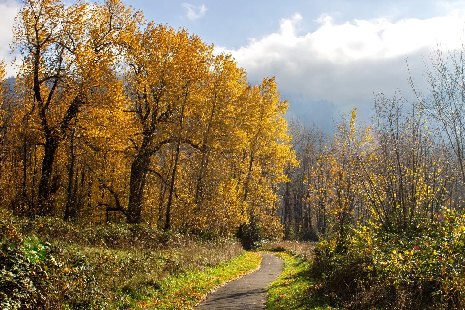 15 Hidden Gem Hikes near Portland — Pines and Vines
