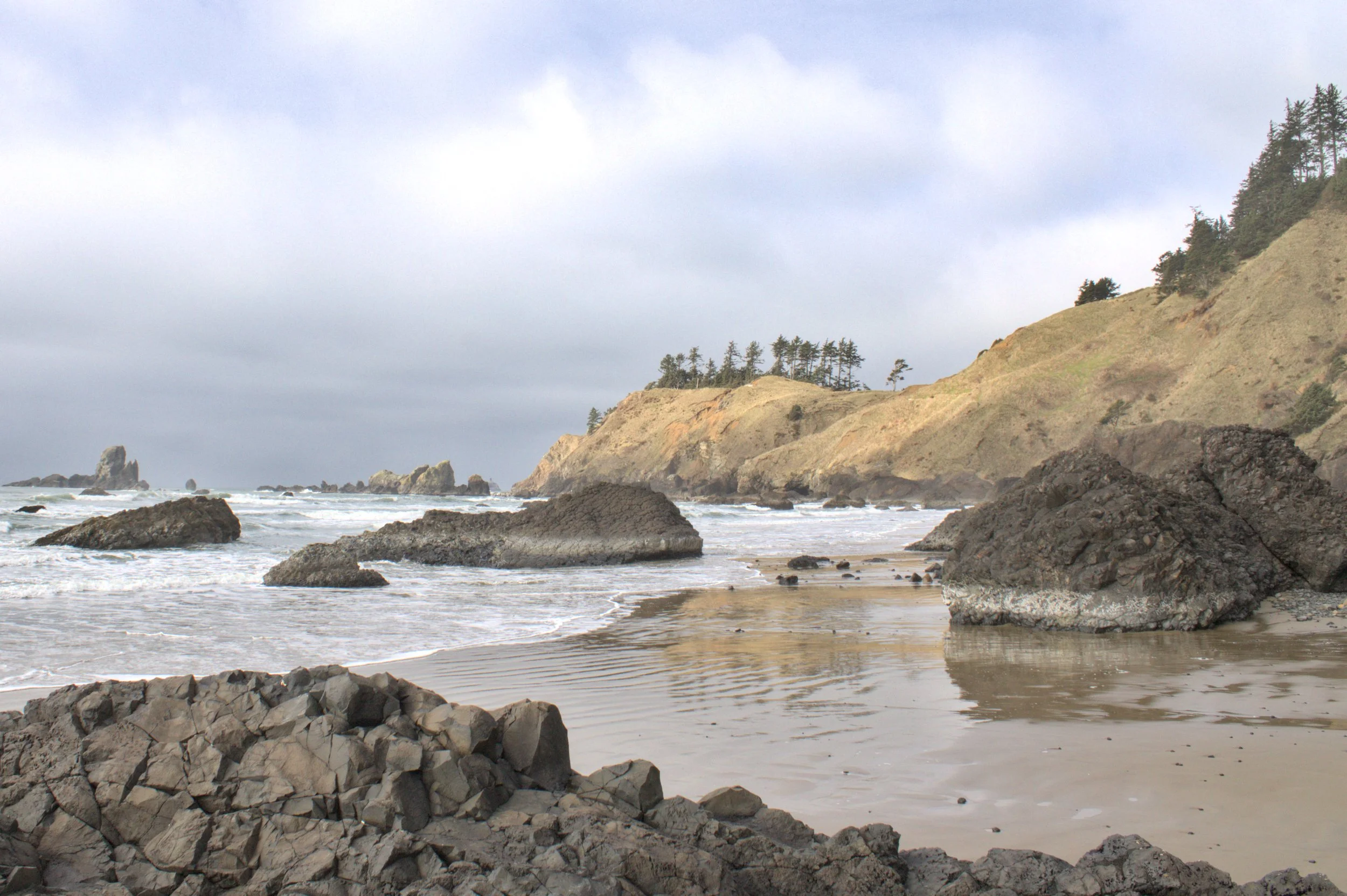 10 Great Short Hikes on the North Oregon Coast — Pines and Vines