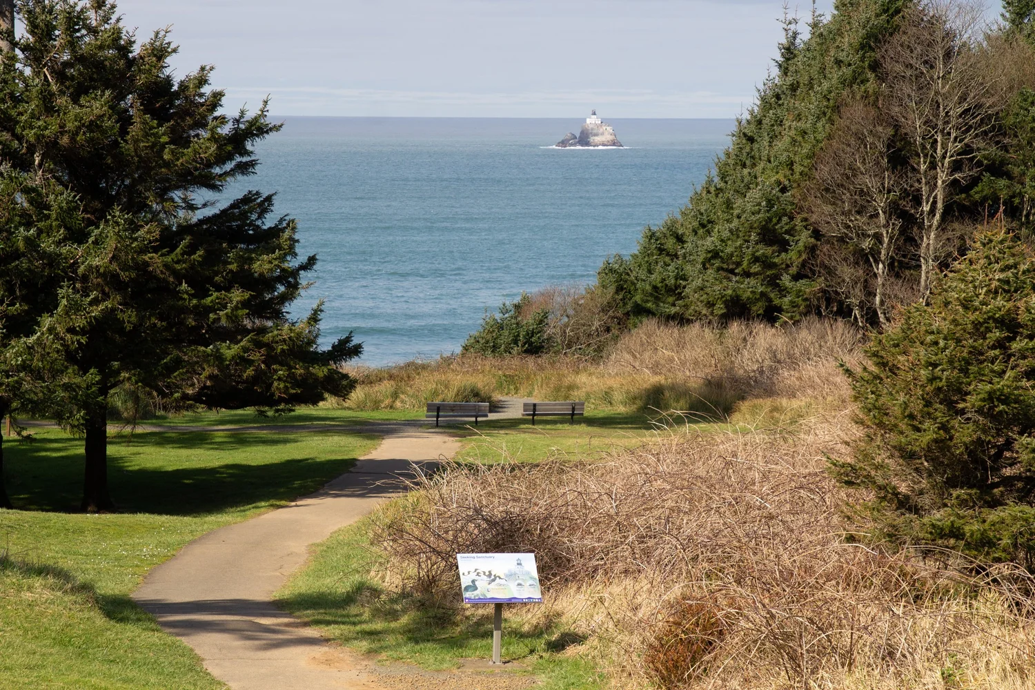 Quick Guide to Ecola State Park — Pines and Vines
