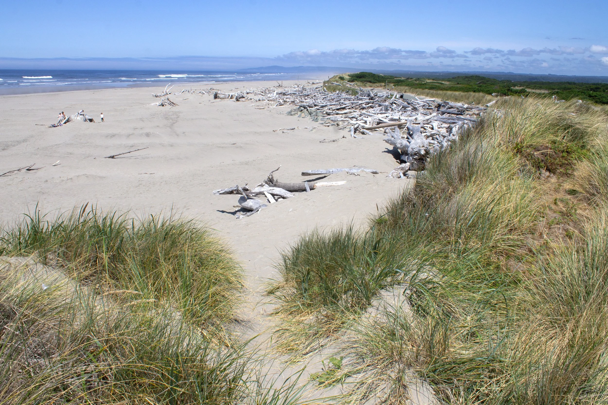 15 Fun Things to Do in Bandon, Oregon — Pines and Vines