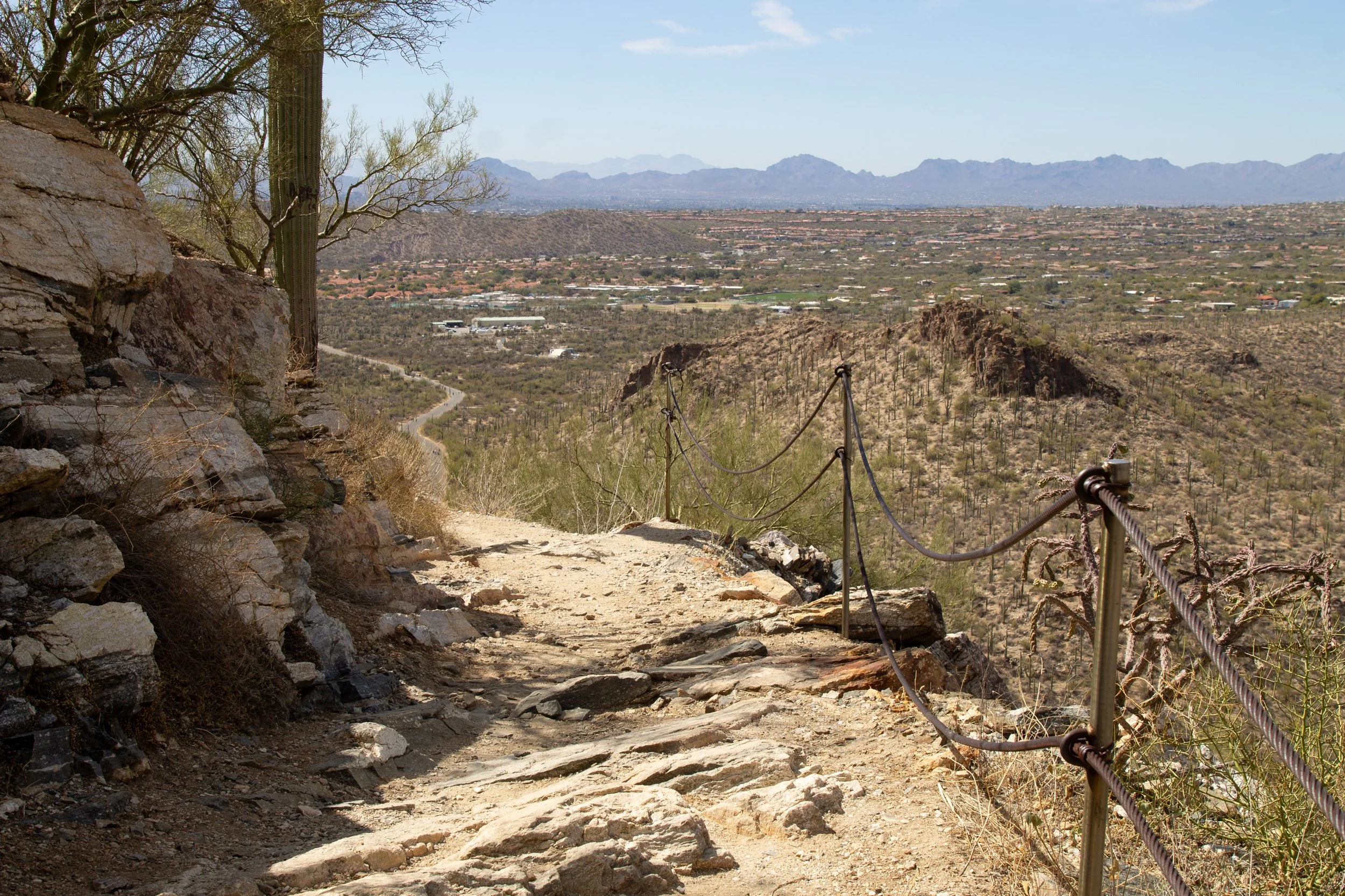 Quick Guide to Sabino Canyon Recreation Area — Pines and Vines