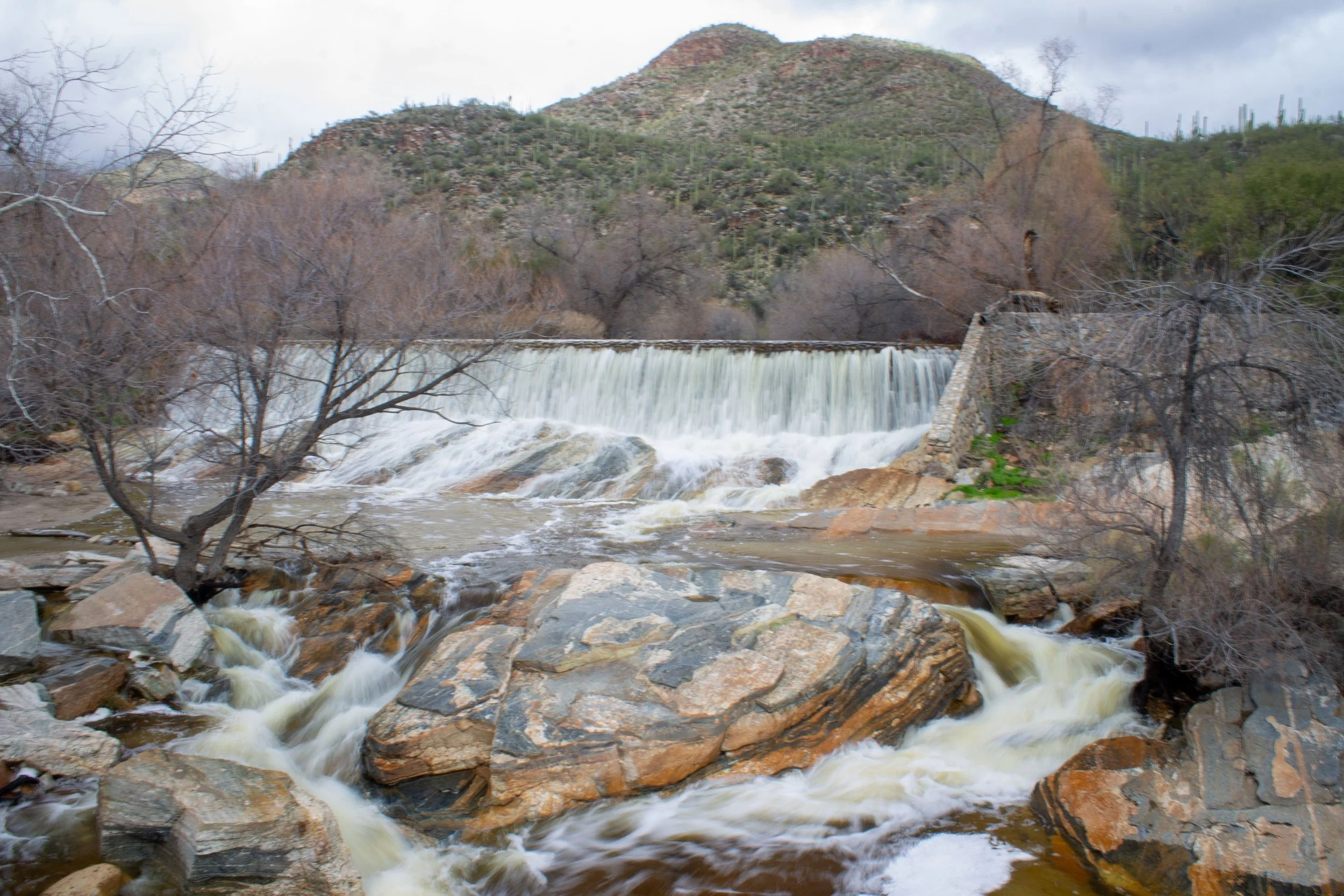 Quick Guide to Sabino Canyon Recreation Area — Pines and Vines