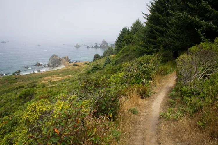 12 Best Stops in the Samuel Boardman Scenic Corridor — Pines and Vines