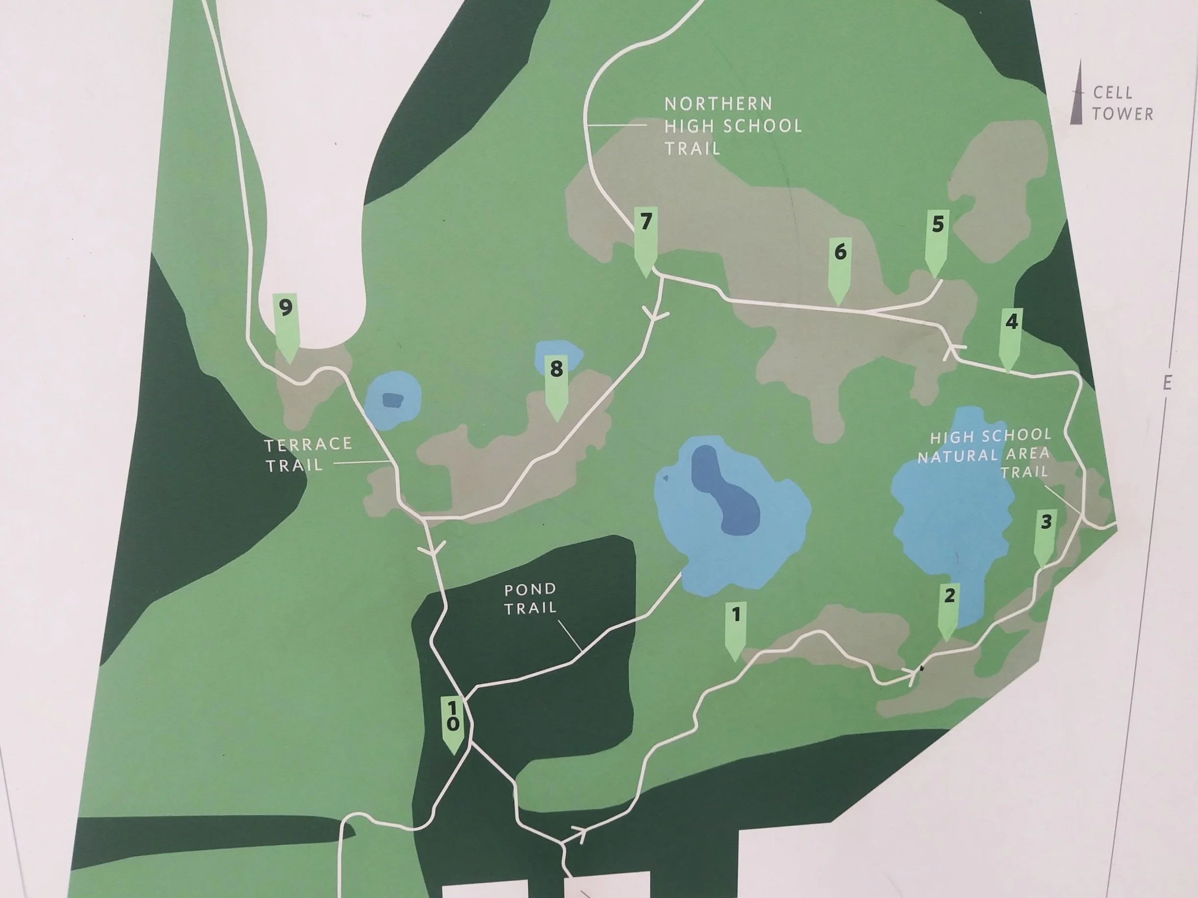 Camassia Natural Area Hiking Guide — Pines and Vines