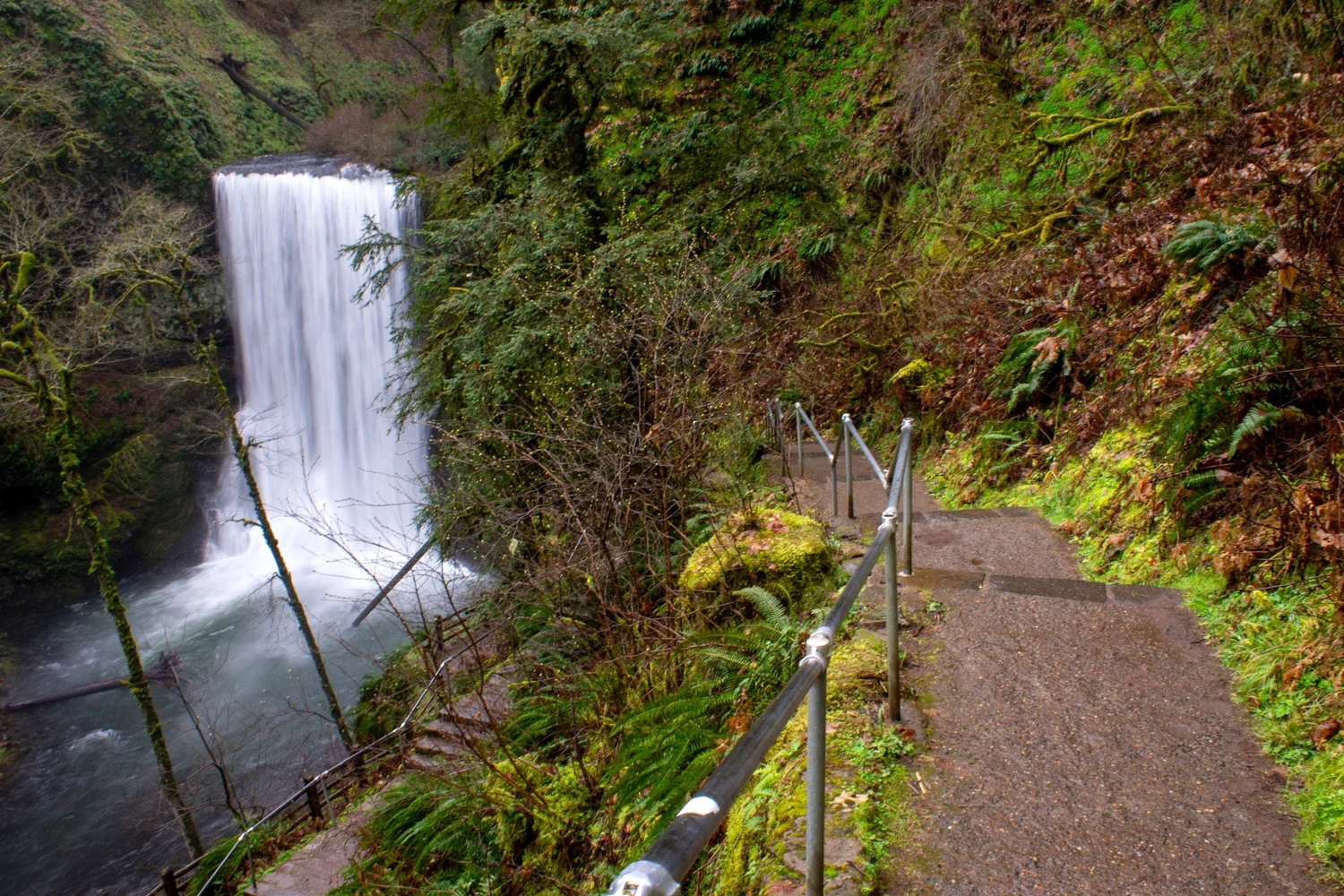 7 Incredible Waterfall Hikes at Silver Falls State Park — Pines and Vines