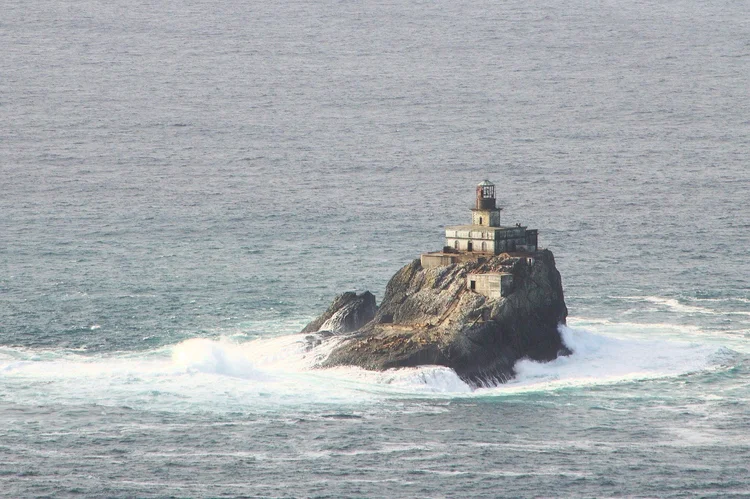 Quick Guide to Ecola State Park — Pines and Vines