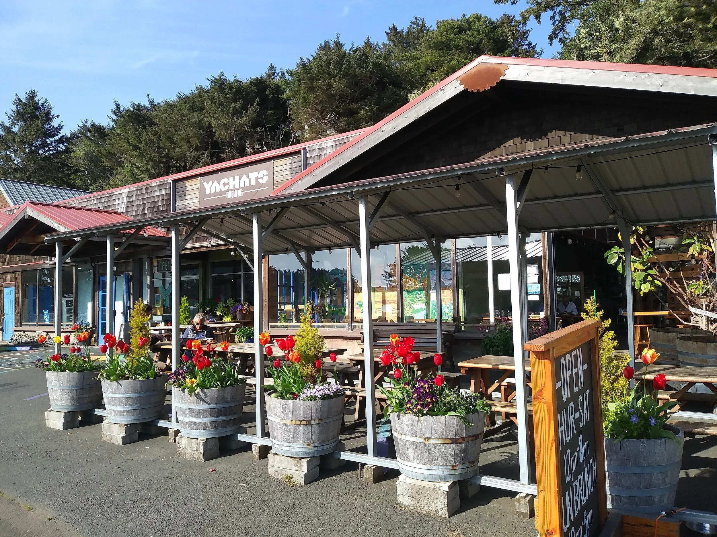 18 Fun Things to Do in Yachats, Oregon — Pines and Vines