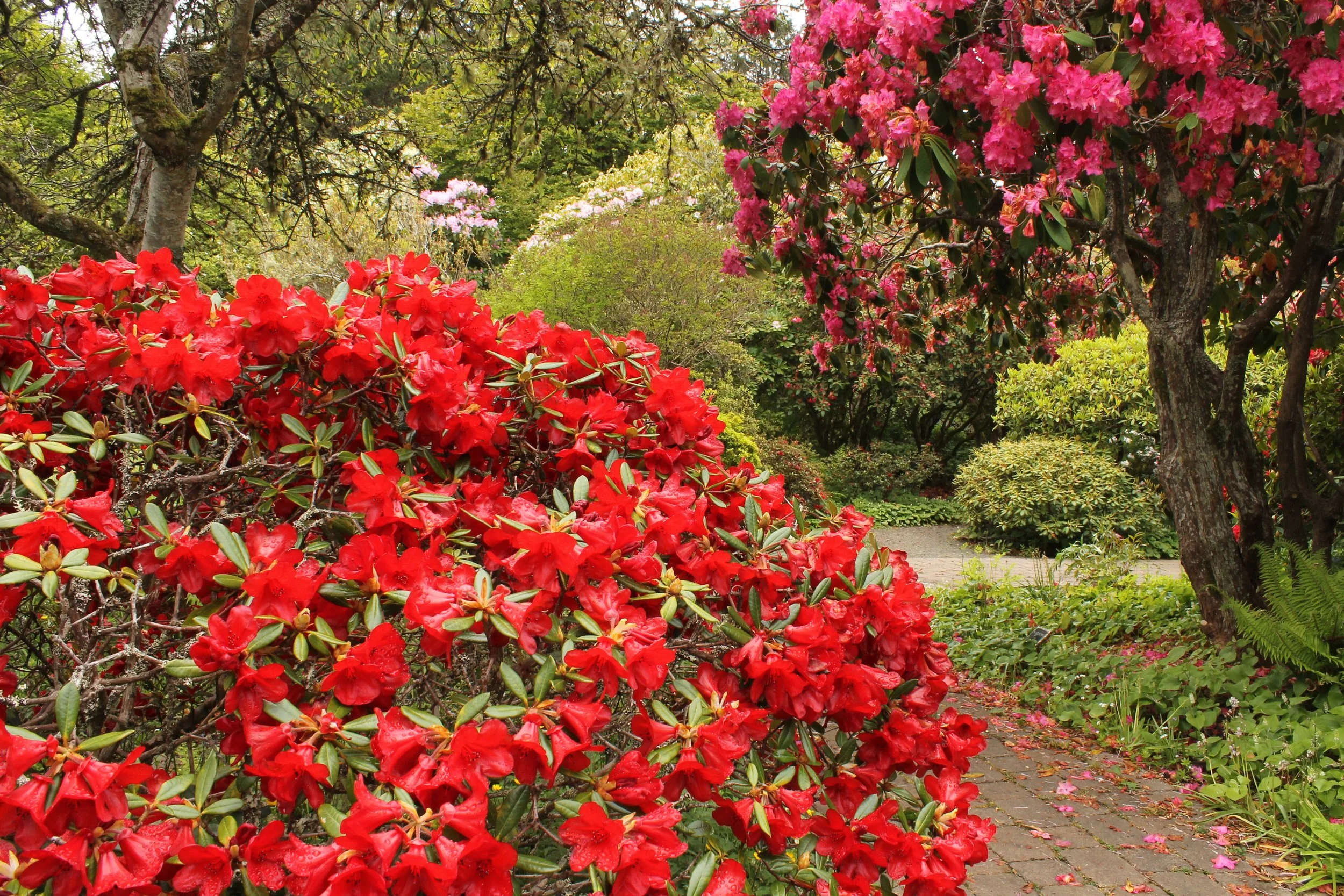 20 Fun Things to Do in Lincoln City, OR — Pines and Vines