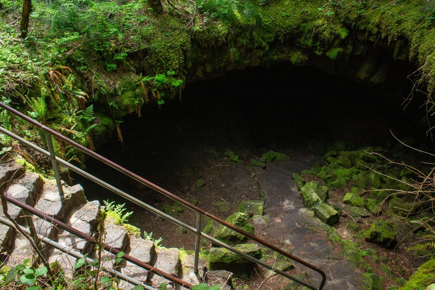 How to See the Ape Cave — Pines and Vines