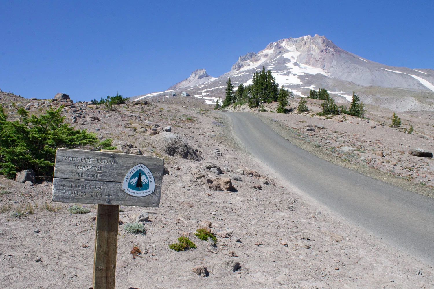 3 Incredible Short Hikes at Timberline Lodge — Pines and Vines