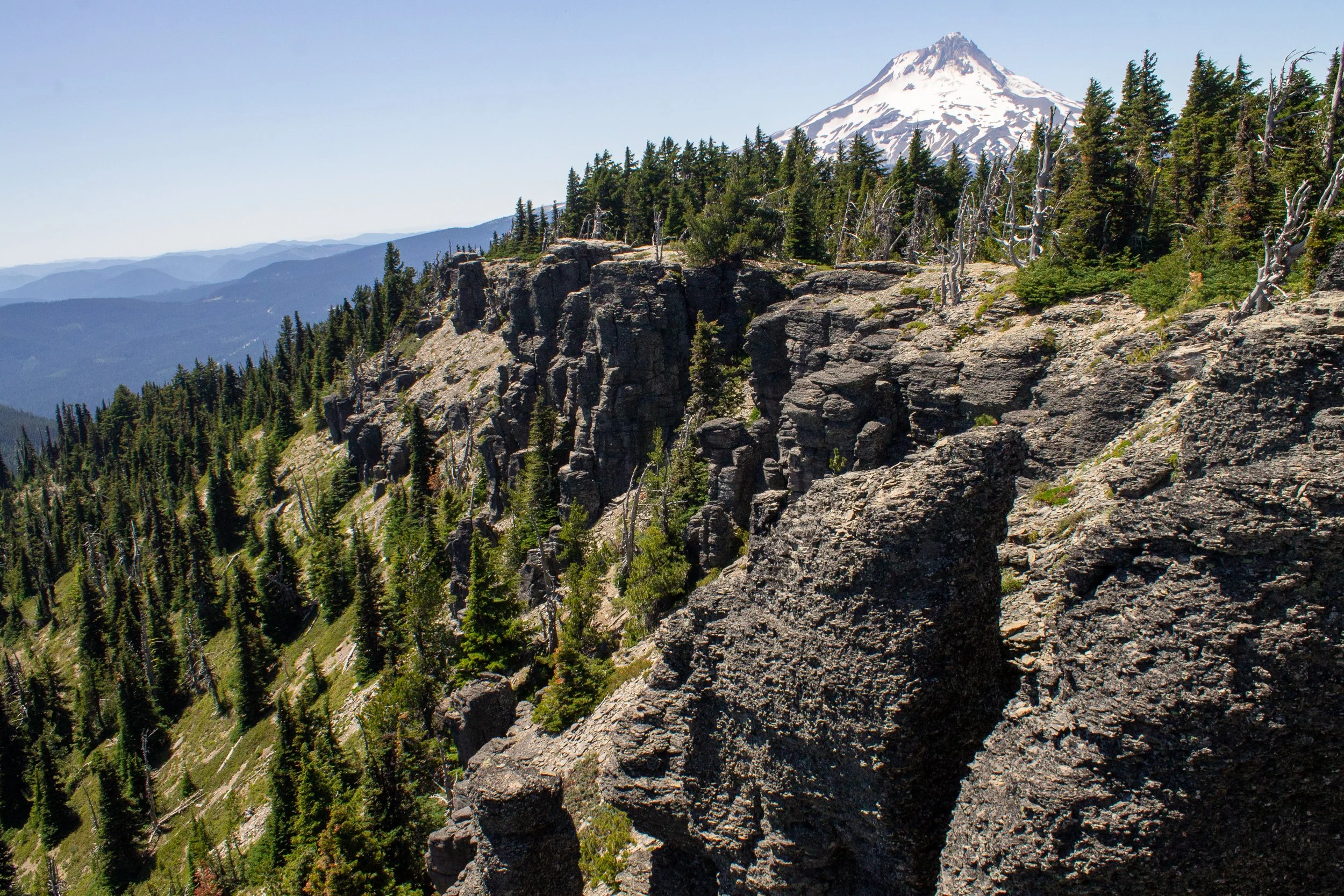 Hike on Lookout Mountain for Wildflowers and Mountain Vistas — Pines ...