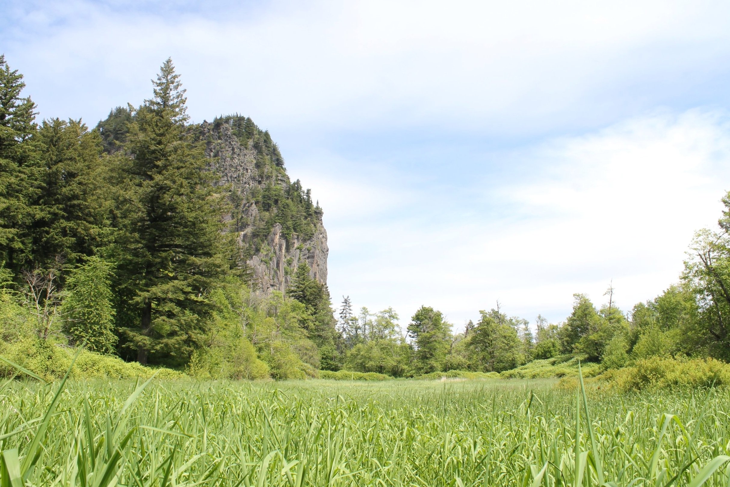 5 Great Hikes at Beacon Rock State Park — Pines and Vines