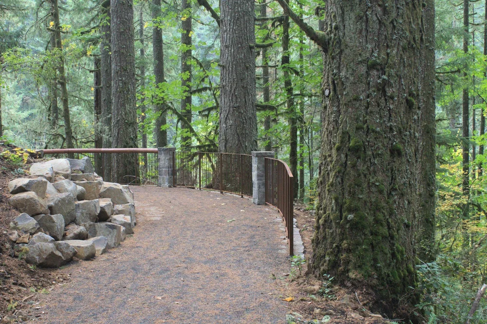 Hike the New North Rim Trail at Silver Falls State Park — Pines and Vines