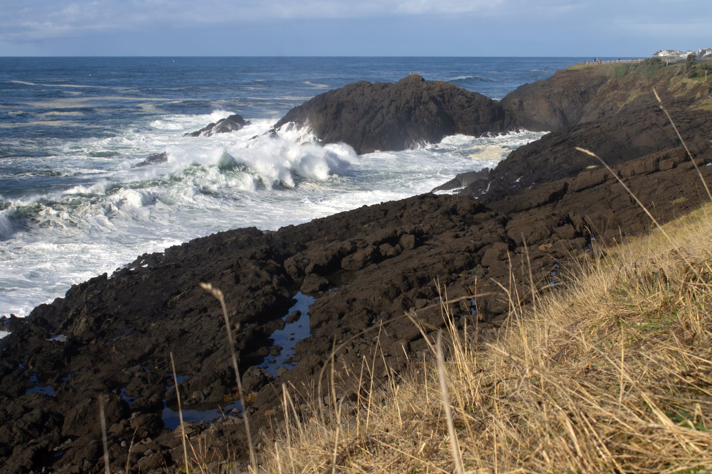 How to Watch Oregon’s King Tides in 2025-2026 — Pines and Vines