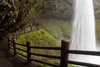 7 Incredible Waterfall Hikes at Silver Falls State Park — Pines and Vines