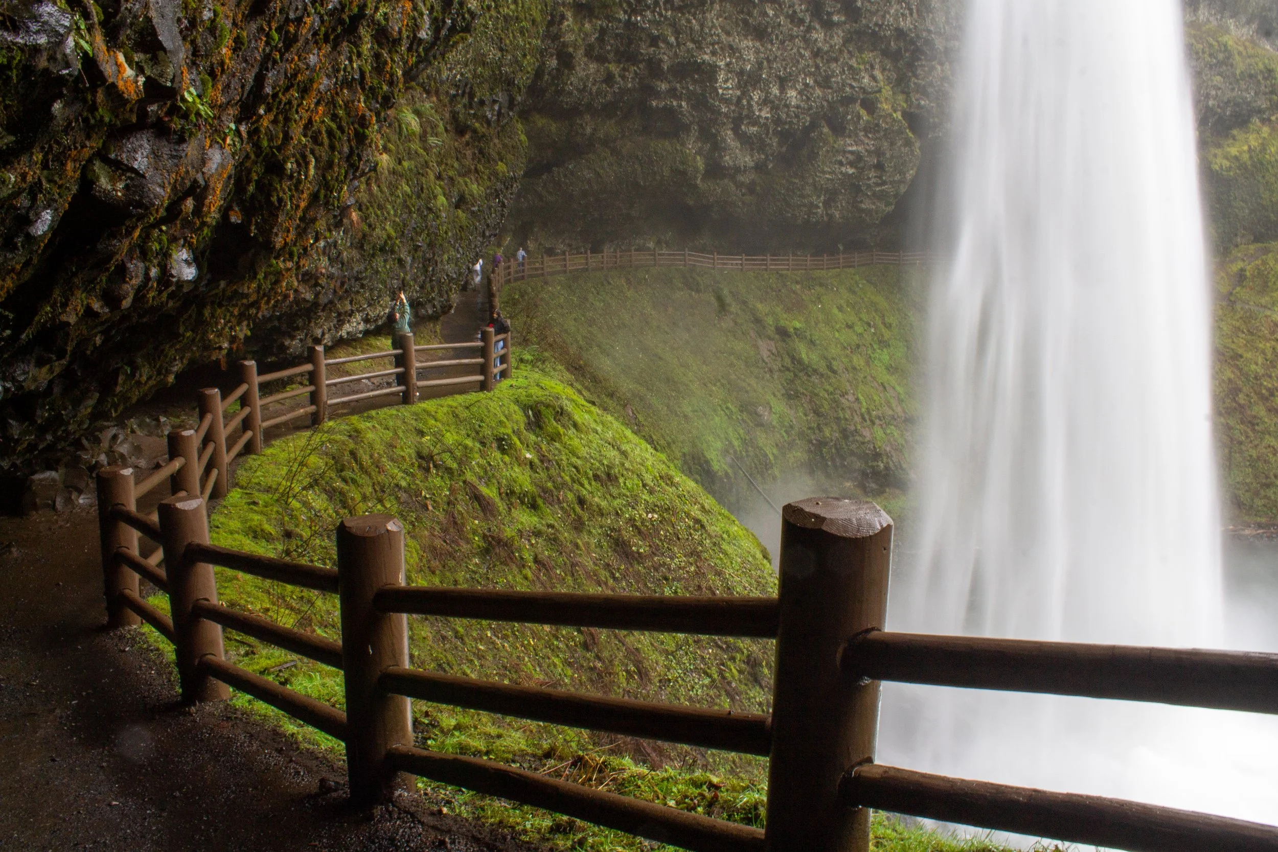 7 Incredible Waterfall Hikes at Silver Falls State Park — Pines and Vines