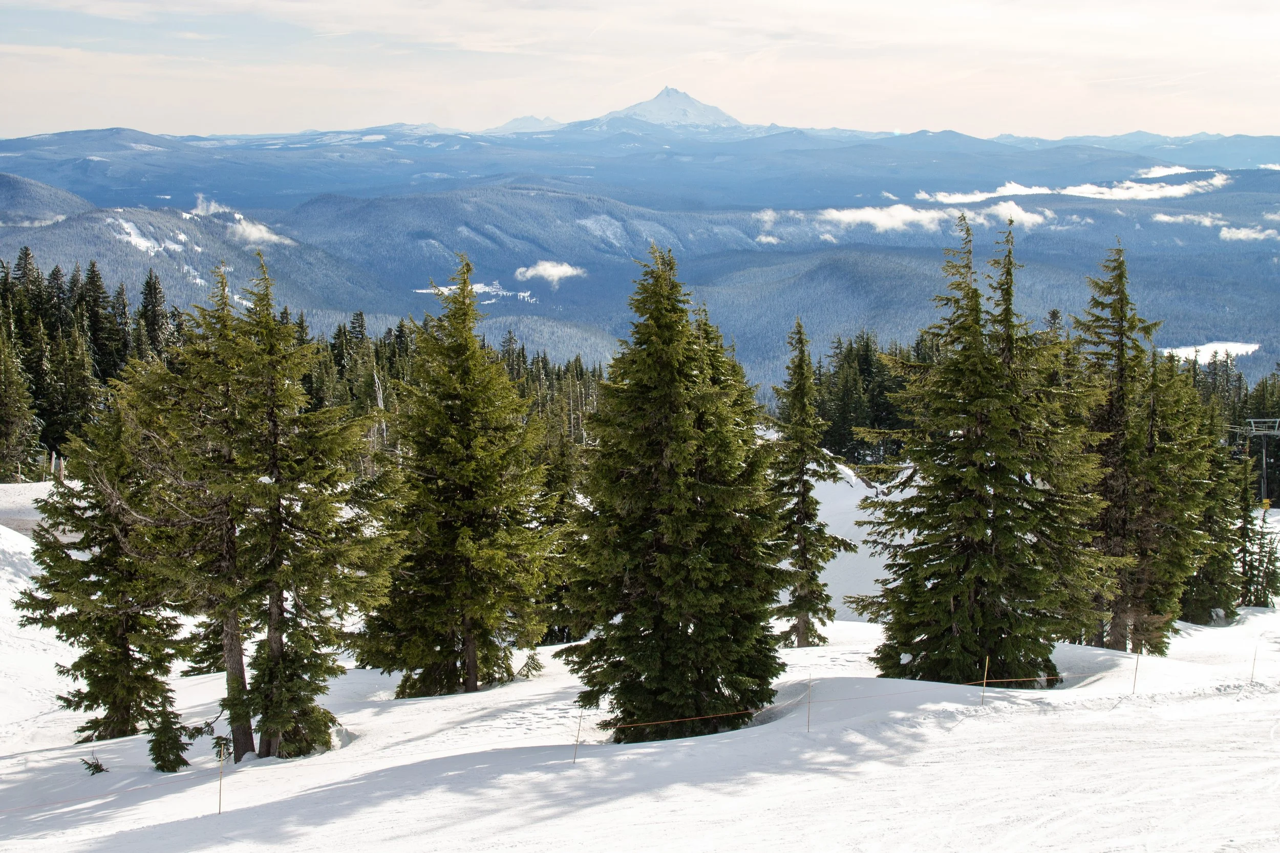 How to Take the Mt Hood Express to Timberline Lodge — Pines and Vines