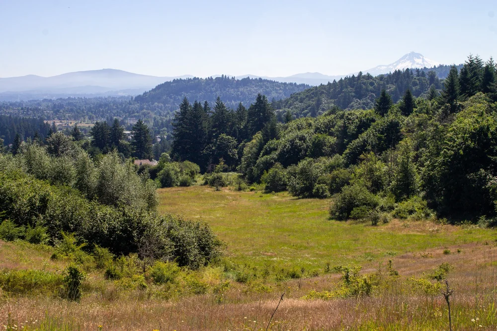 10 Stunning Wildflower Hikes in Portland — Pines and Vines