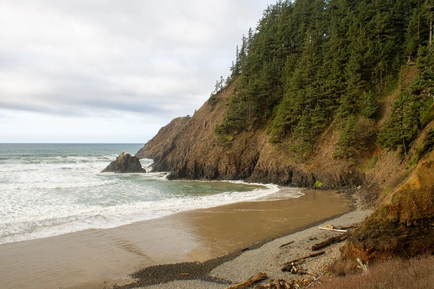 Clatsop Loop Trail — Pines and Vines