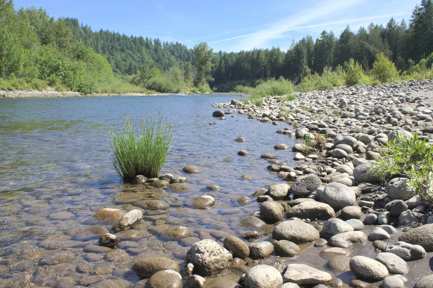 7 Fun Things to Do at Oxbow Regional Park — Pines and Vines