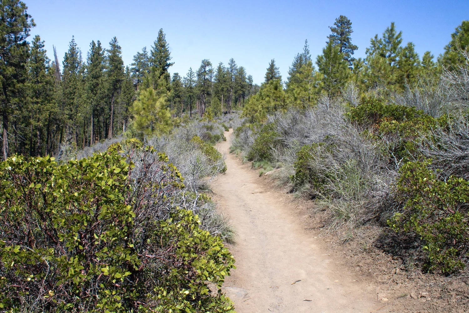 20 Incredible Short Hikes near Bend — Pines and Vines