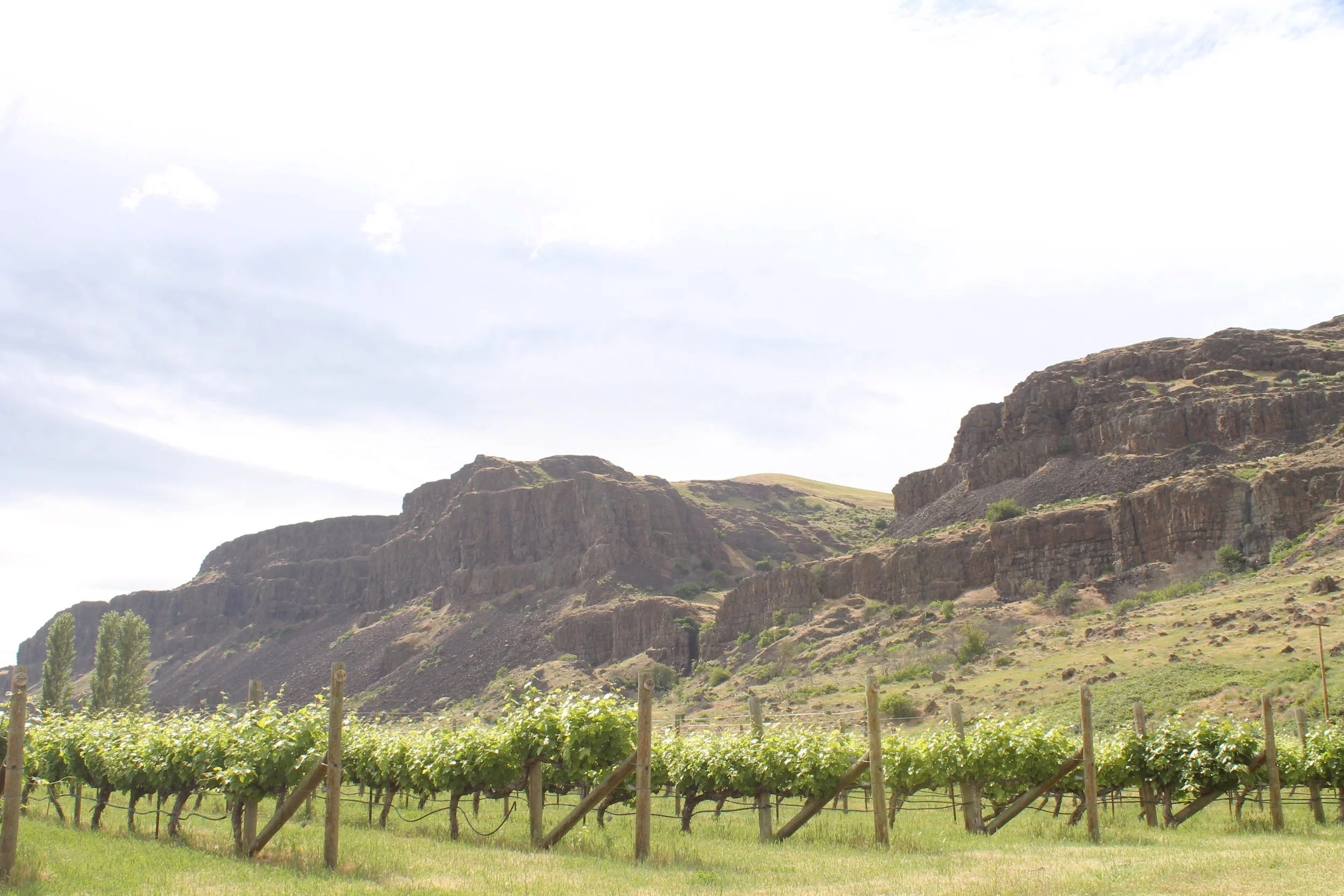 Columbia Hills Petroglyphs and Horsethief Butte (plus a winery visit ...