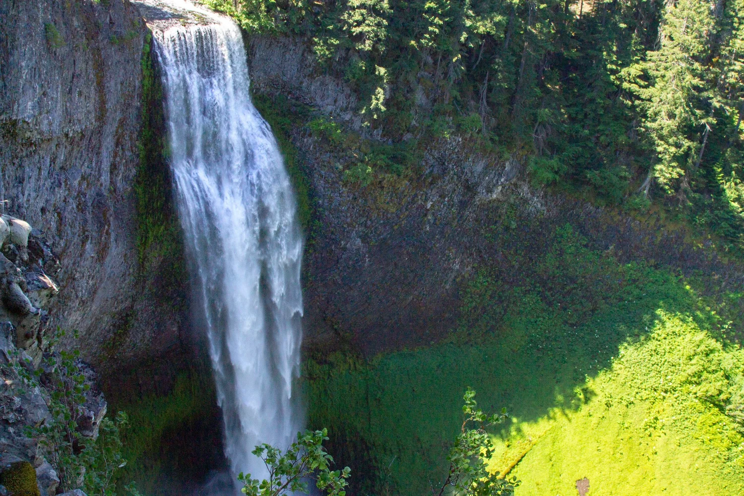 Salt Creek Falls and Diamond Creek Falls — Pines and Vines