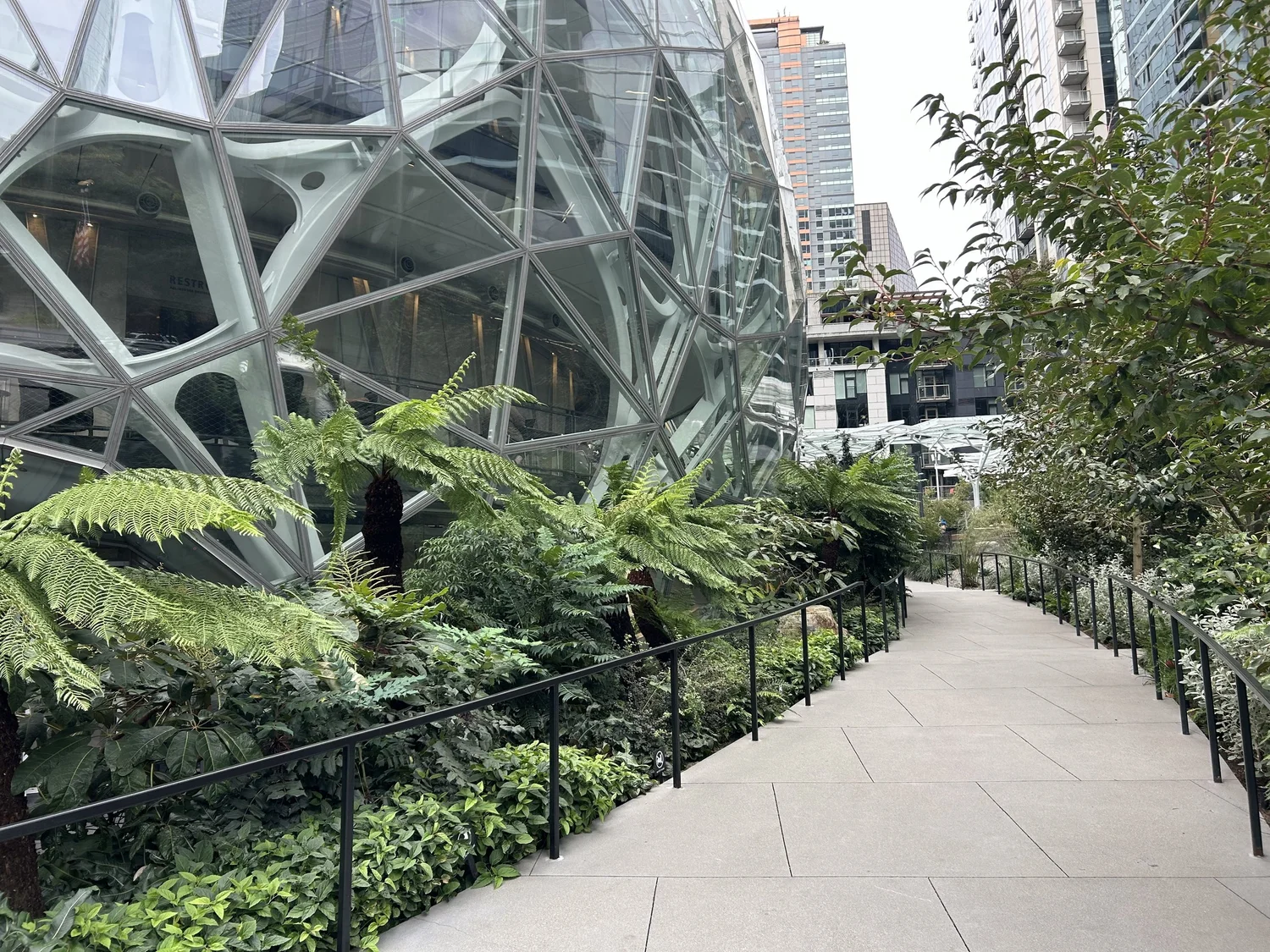 Quick Guide to the Seattle Spheres — Pines and Vines