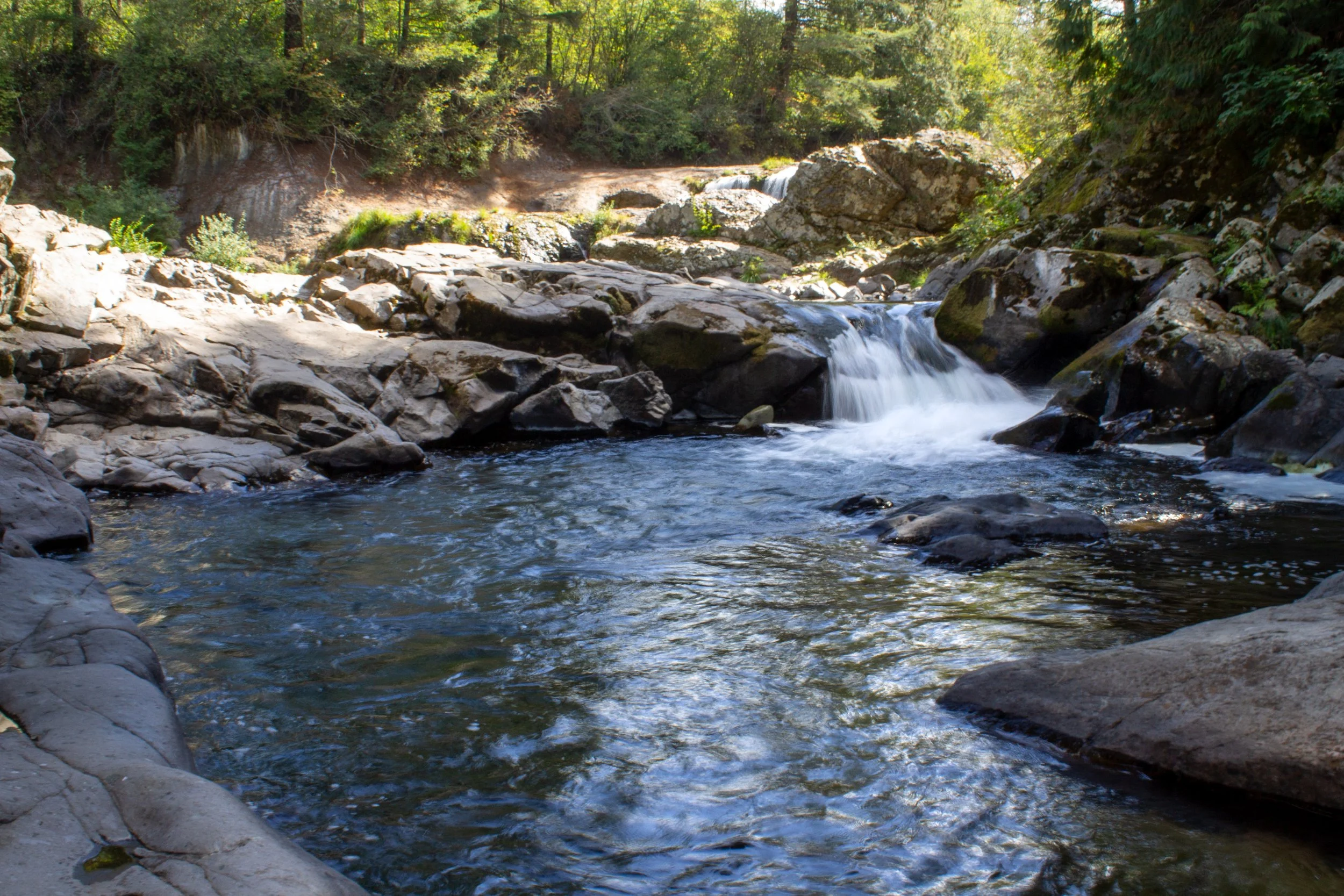 Quick Guide to Visiting Dougan Falls — Pines and Vines