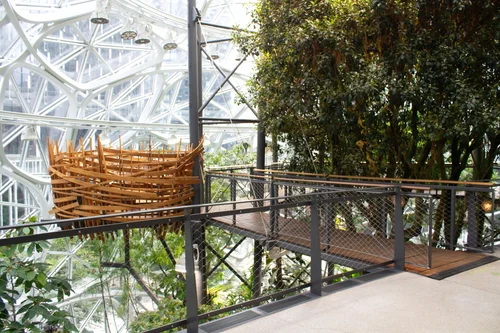 Quick Guide to the Seattle Spheres — Pines and Vines