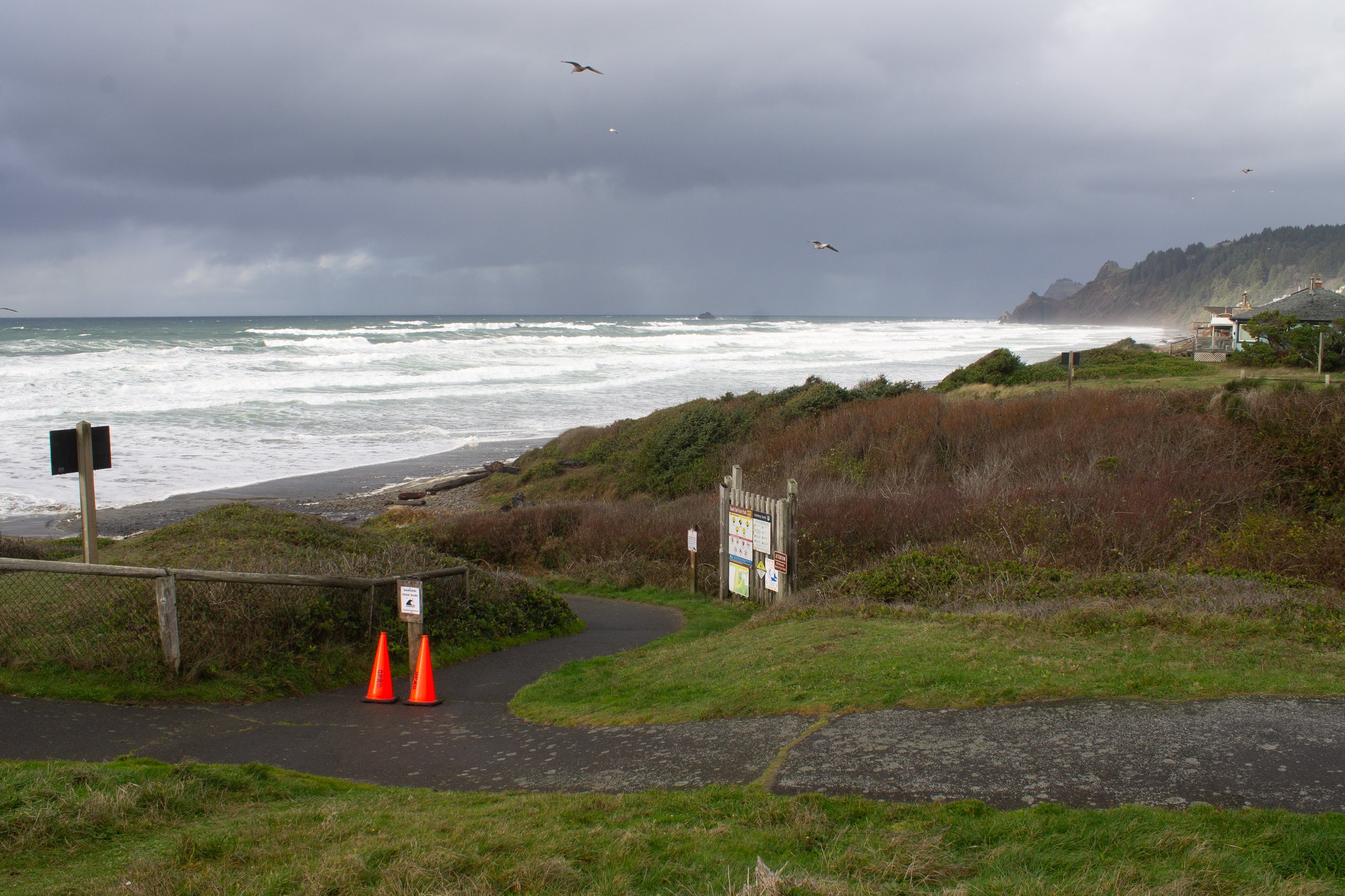 How to Watch Oregon’s King Tides in 2025-2026 — Pines and Vines