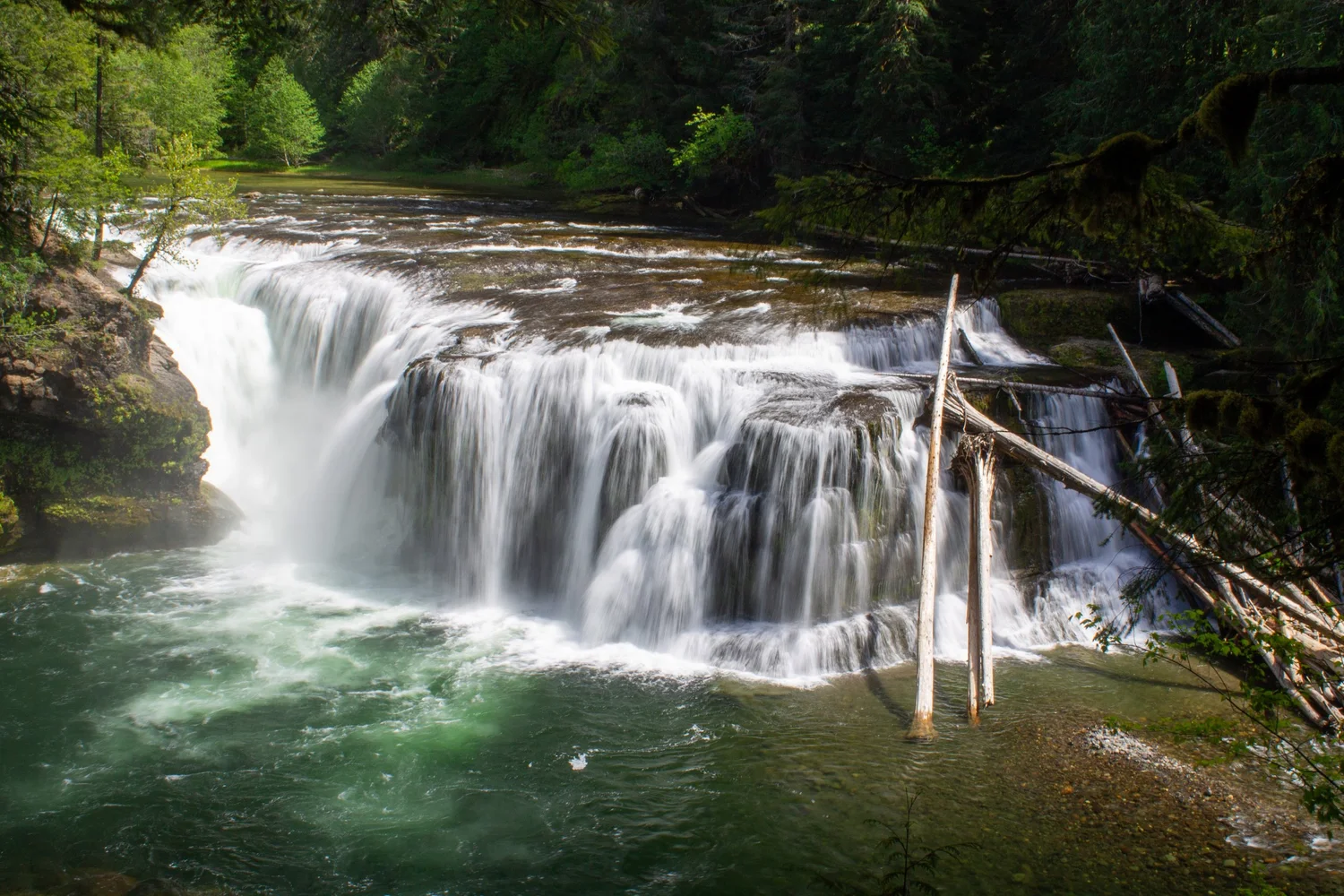 The Lewis River’s Magnificent Waterfalls — Pines and Vines