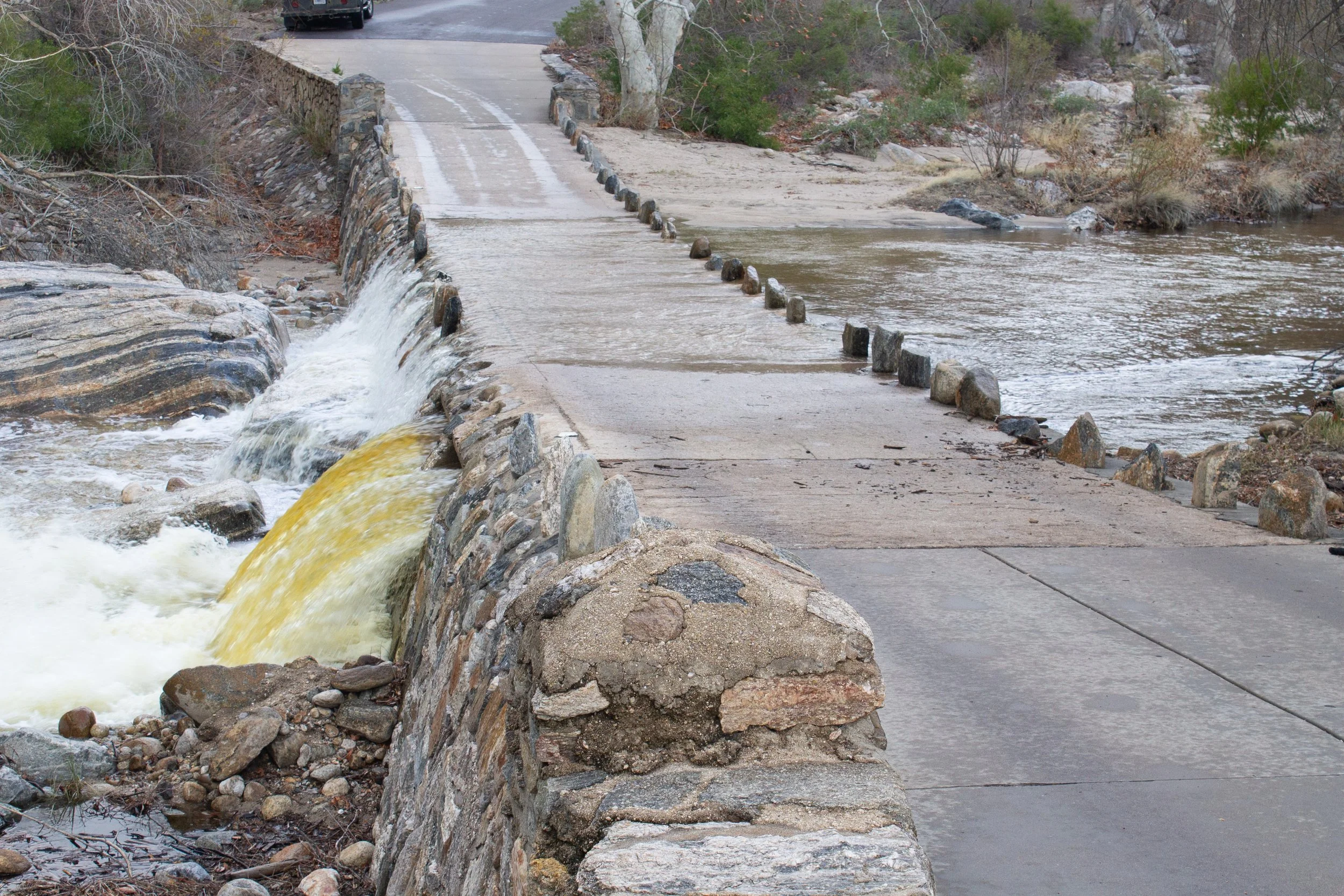 Quick Guide to Sabino Canyon Recreation Area — Pines and Vines