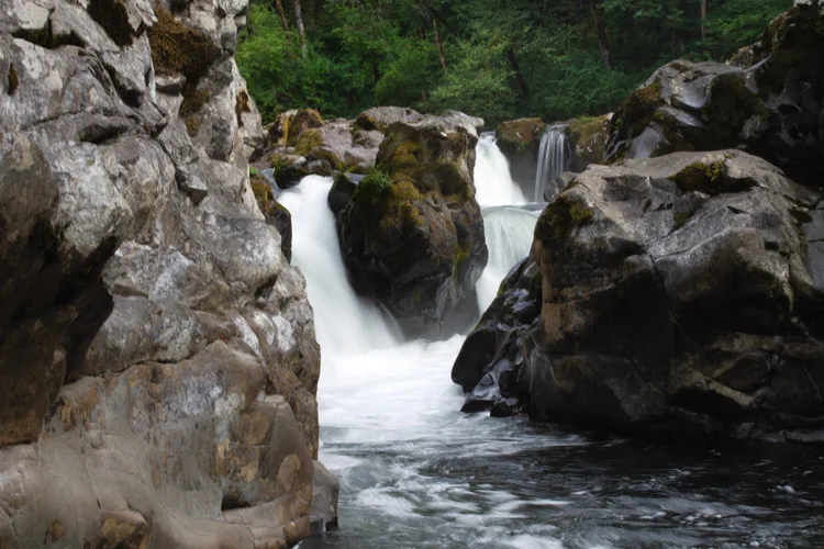 Quick Guide to Moulton Falls Regional Park — Pines and Vines