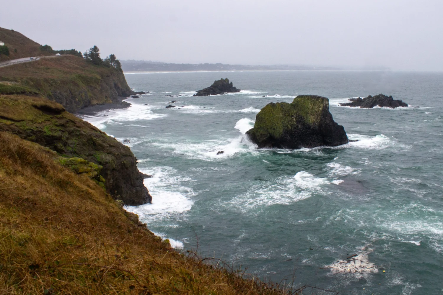 How to Watch Oregon’s King Tides in 2025-2026 — Pines and Vines