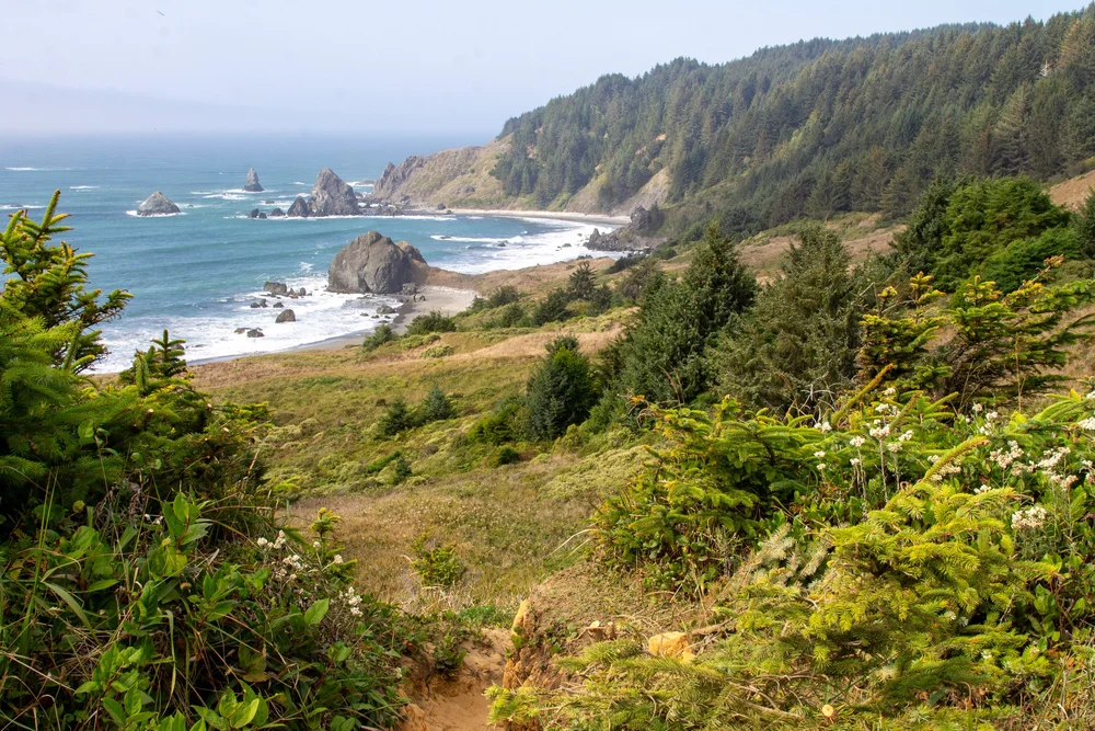 20 Best Hikes on the Oregon Coast — Pines and Vines