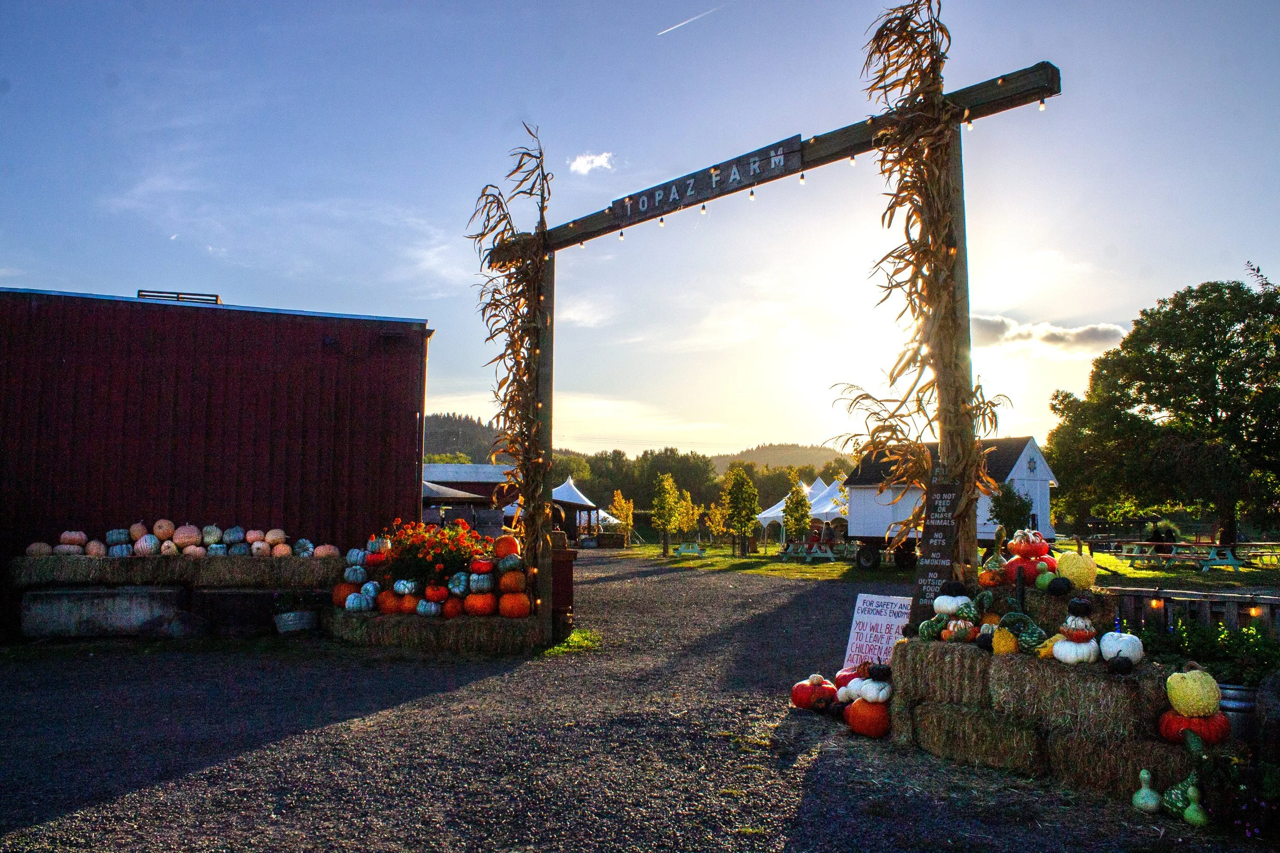 9 Fun Things to Do on Sauvie Island — Pines and Vines — Pines and Vines