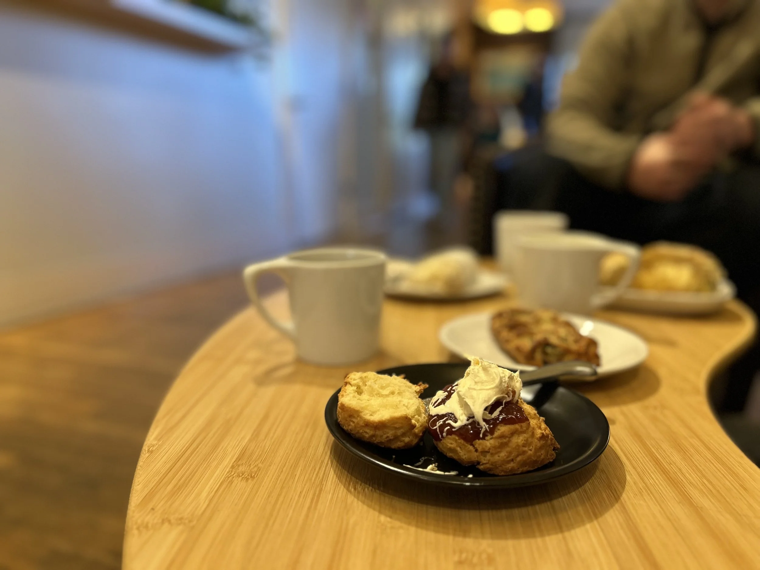 15 Fun Things to Do in Port Townsend — Pines and Vines