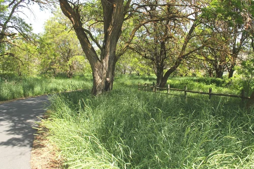 Best 12 Things to Do in the Dalles, OR — Pines and Vines — Pines and Vines