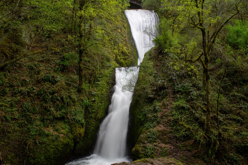 20 Best Waterfall Hikes Near Portland — Pines and Vines