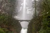 Annual Recreation Passes of Oregon and Washington — Pines and Vines