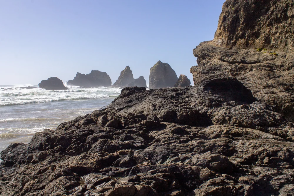 The Mysterious Oregon Coast Tunnel — Pines and Vines