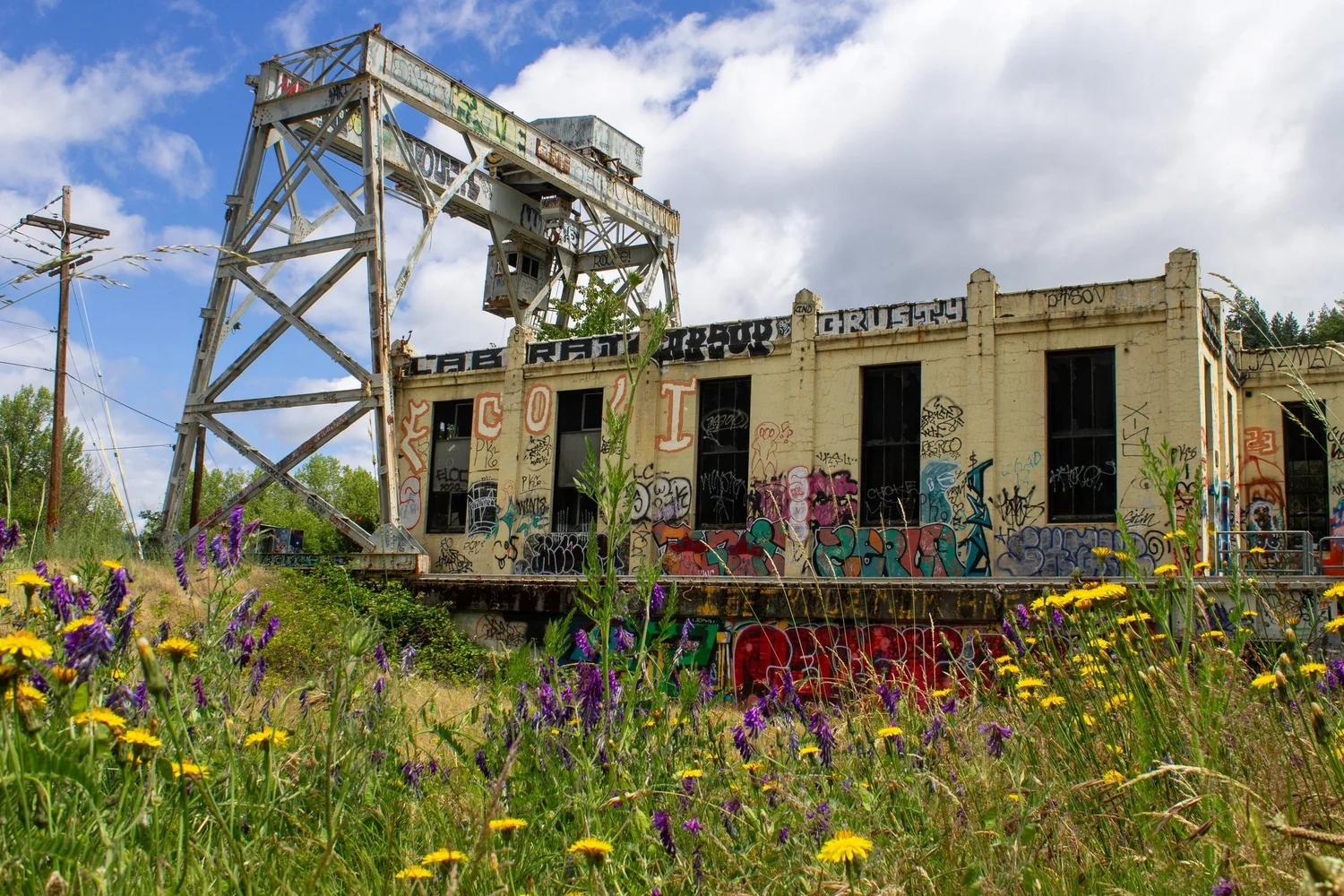 Hike the Hood River Pipeline Trail — Pines and Vines