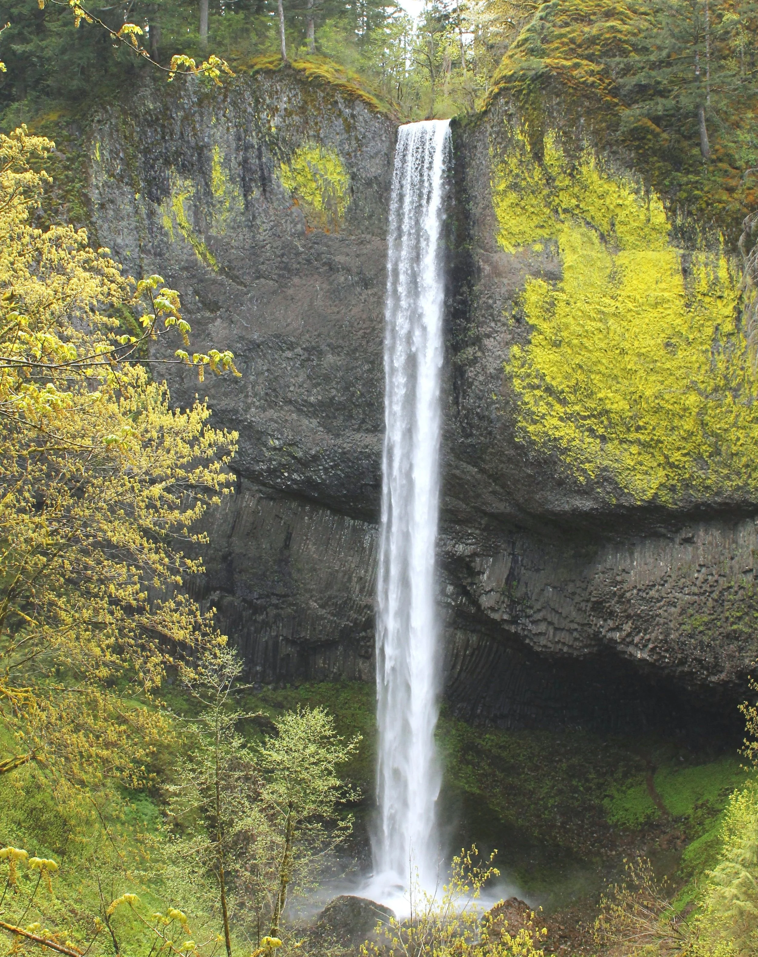 10 Great Waterfall Hikes near Multnomah Falls — Pines and Vines