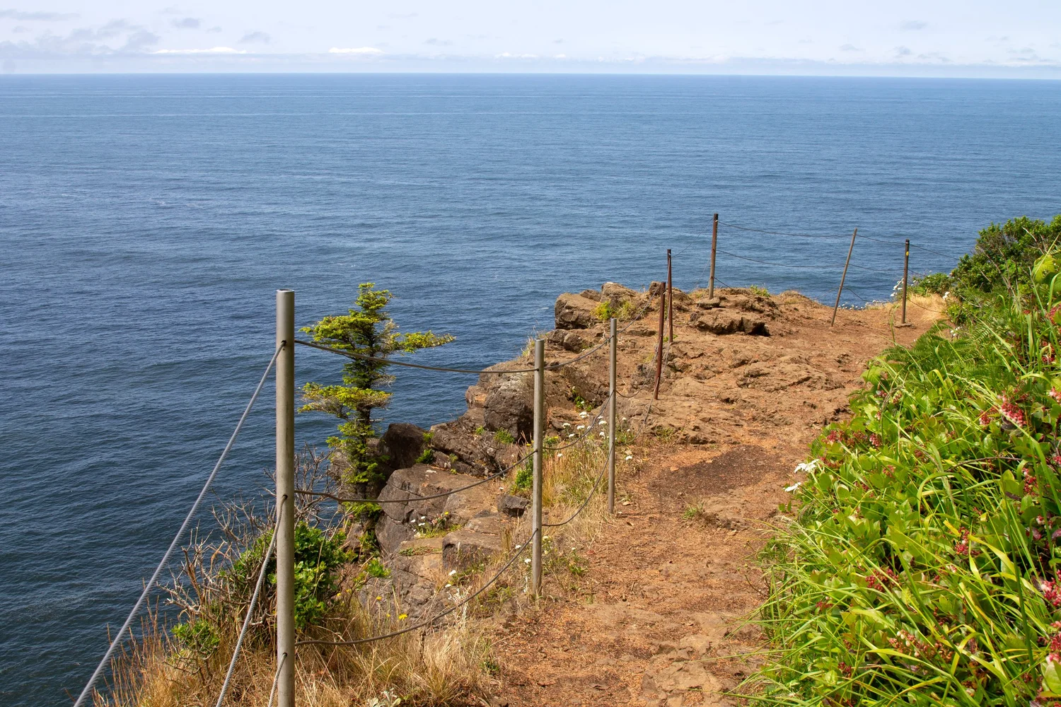 Cape Lookout Trail — Pines and Vines
