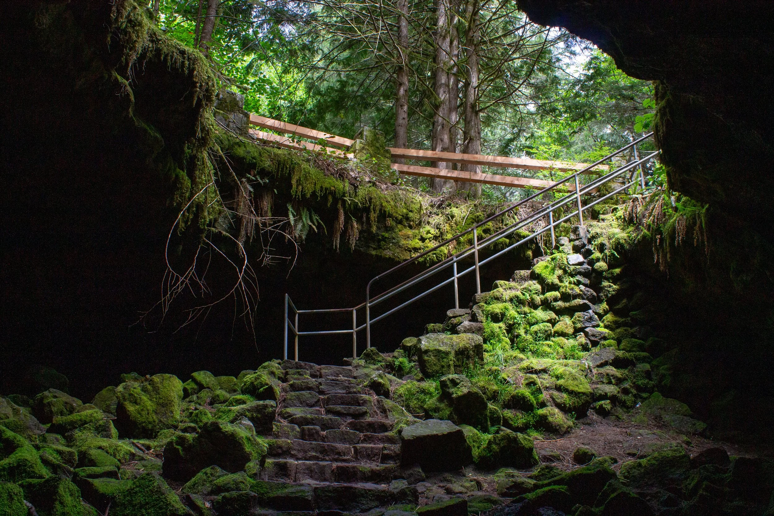 How to See the Ape Cave — Pines and Vines